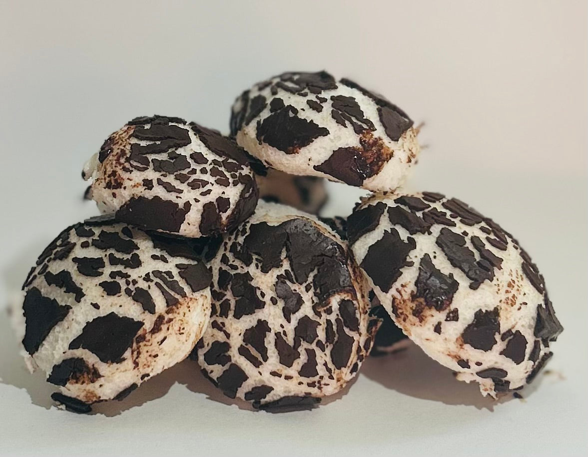 Freeze Dried Cow Patties